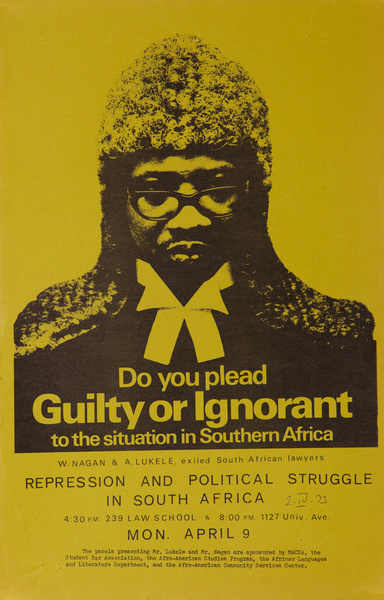 Do You Plead Guilty or Ignorant Original American Protest Poster anti ...