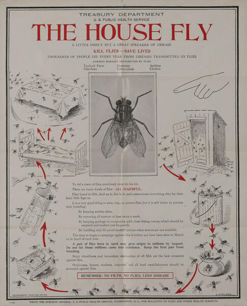 The House Fly, Kill Flies - Save Lives | David Pollack Vintage Posters
